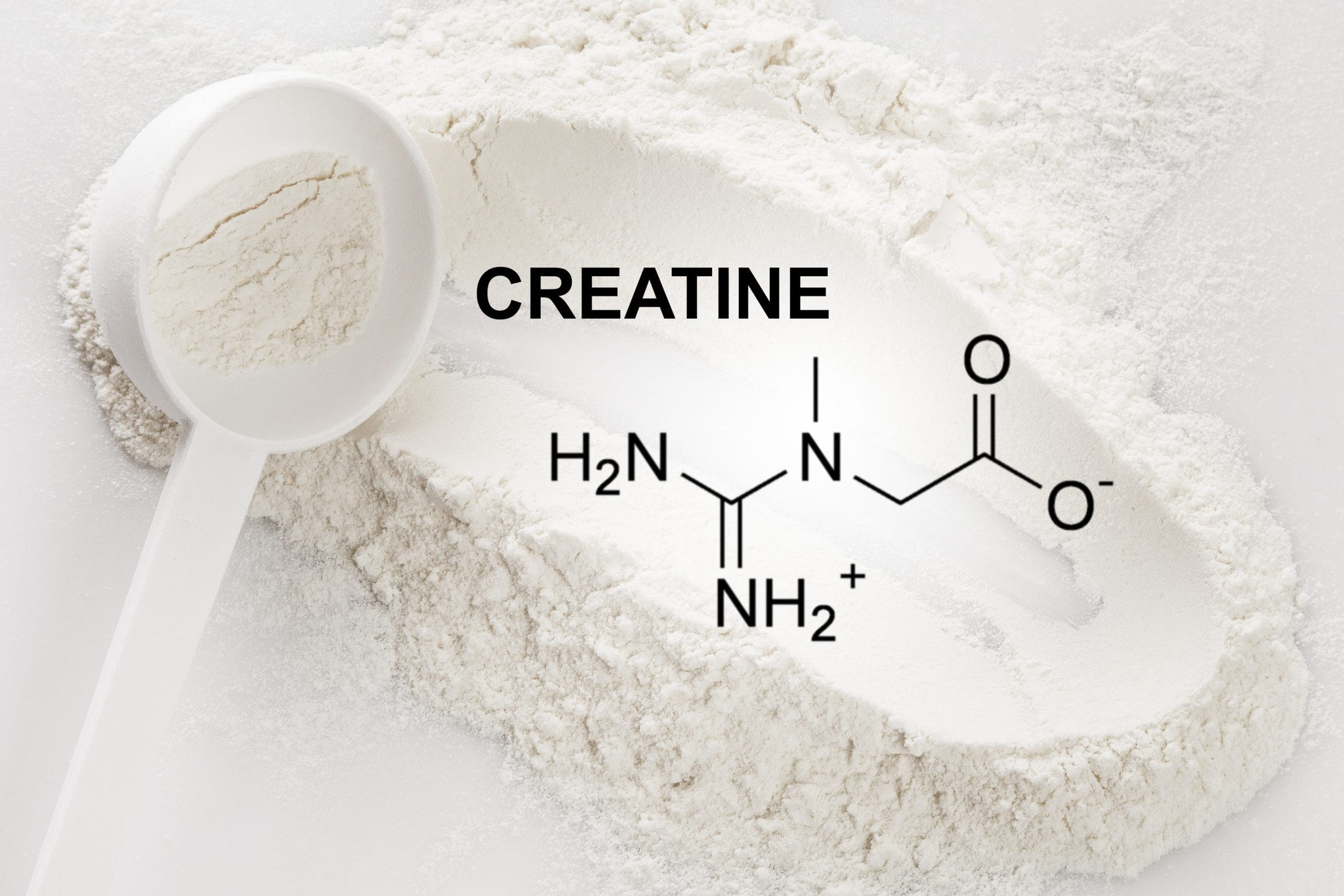 Créatine : dosage, effets et dangers | Charles.co