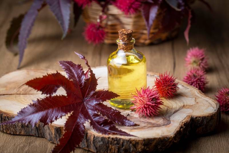 Huile de ricin cheveux : bienfaits et utilisation | Charles.co