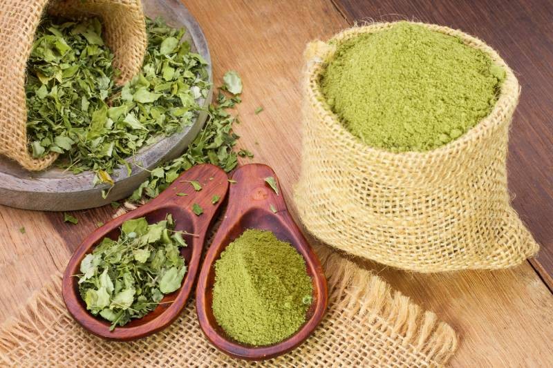 Moringa : bienfaits, précautions et comment le consommer | Charles.co
