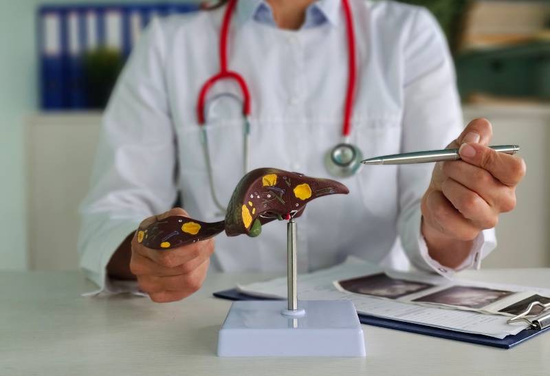 Cirrhose du foie : symptômes, stades et espérance de vie | Charles.co