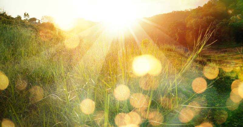 Allergie au soleil : symptômes, durée et traitements | Charles.co