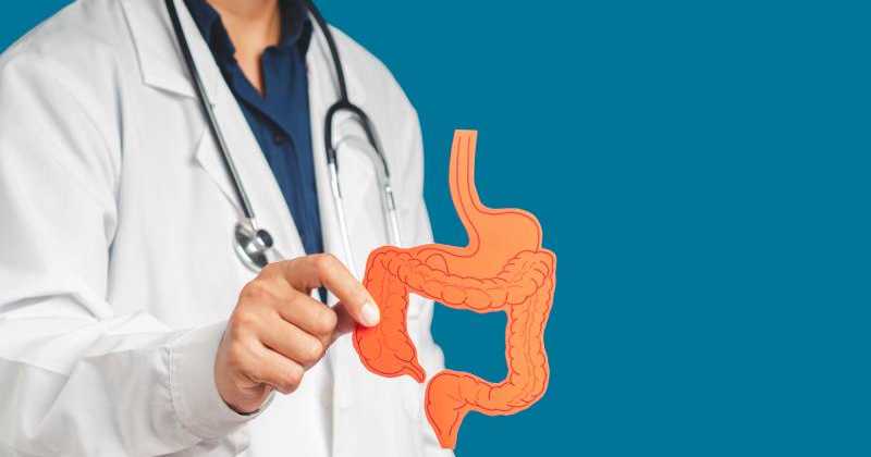 Côlon : rôle, nettoyage et maladies courantes | Charles.co