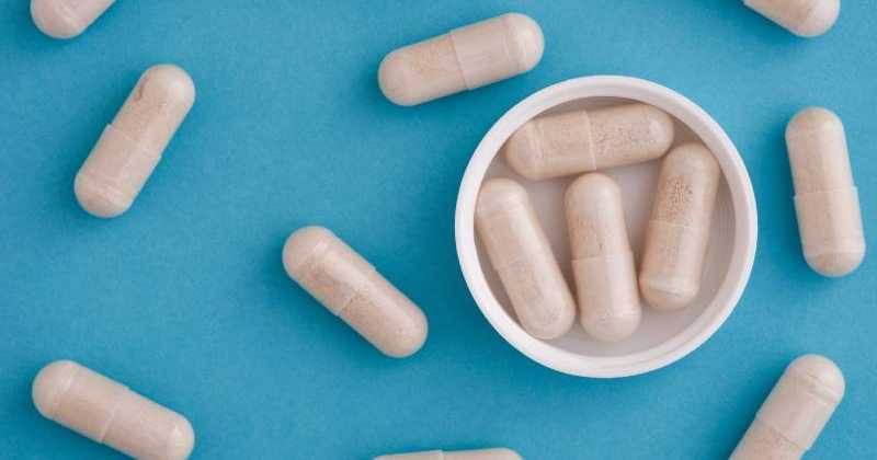 Probiotique : bienfaits, sources alimentaires et suppléments | Charles.co