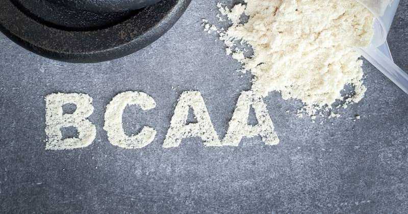 BCAA : rôle, effets, suppléments et sources alimentaires | Charles.co