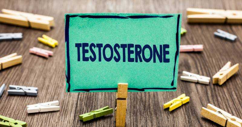 Testostérone : rôle, effet et comment l'augmenter | Charles.co