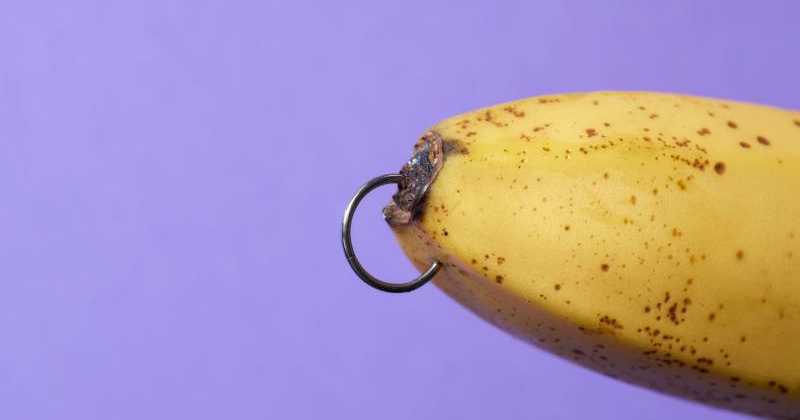 Piercing Prince Albert : origine, prix et avis | Charles.co