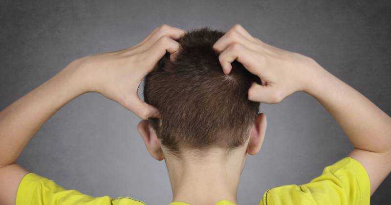 Poux cheveux : symptômes, traitements chimiques et naturels | Charles.co