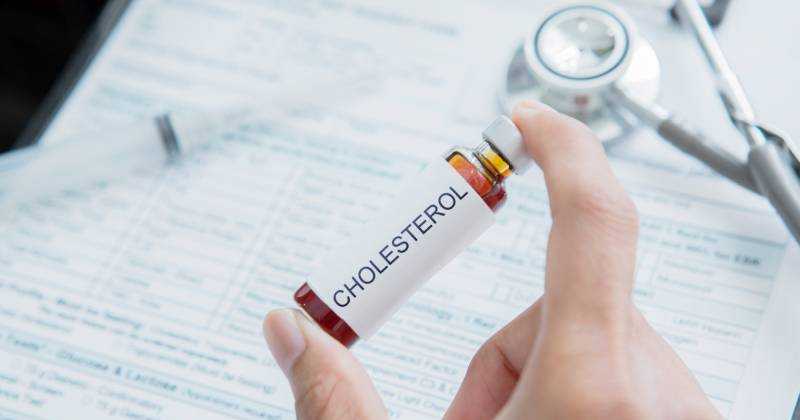 Bon cholestérol : définition, taux et comment l’augmenter | Charles.co