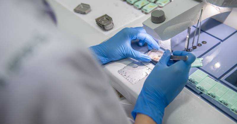 Biopsie : indications, techniques et interprétations des résultats ...